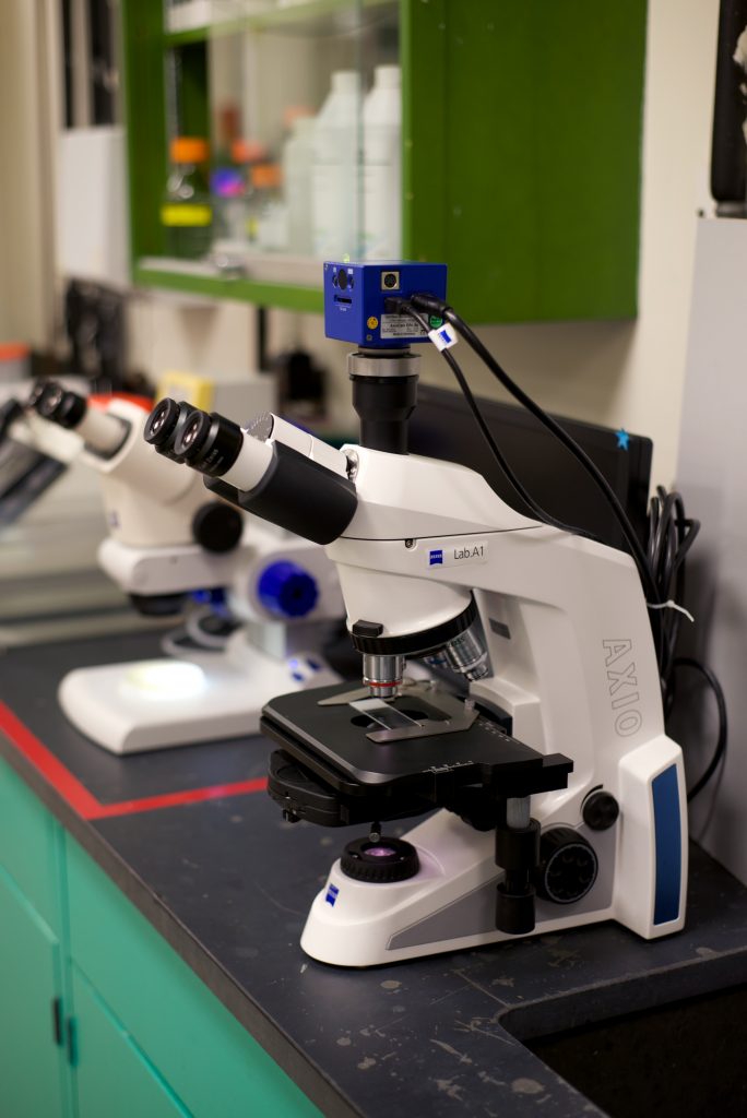 Microscope Optique